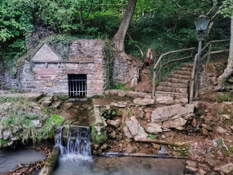 Von der Erftquelle bis zum Rhein