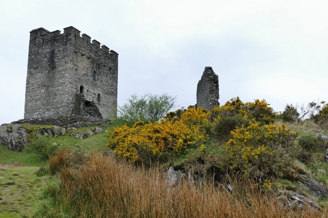 Wales: 7 Tage durch den Eryri (Snowdonia) Nationalpark